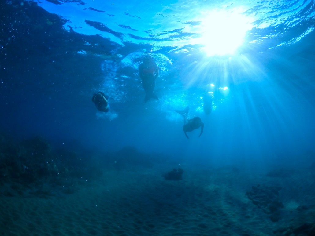 Mermaid Swimming Lessons On Maui - Hawaii Mermaid Adventures