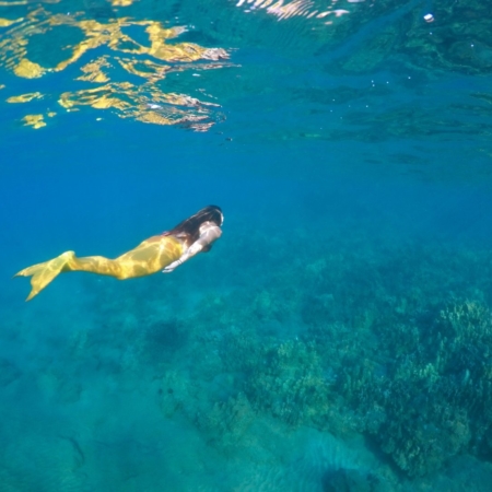 Mermaids can use their voices to help protect our ocean environment