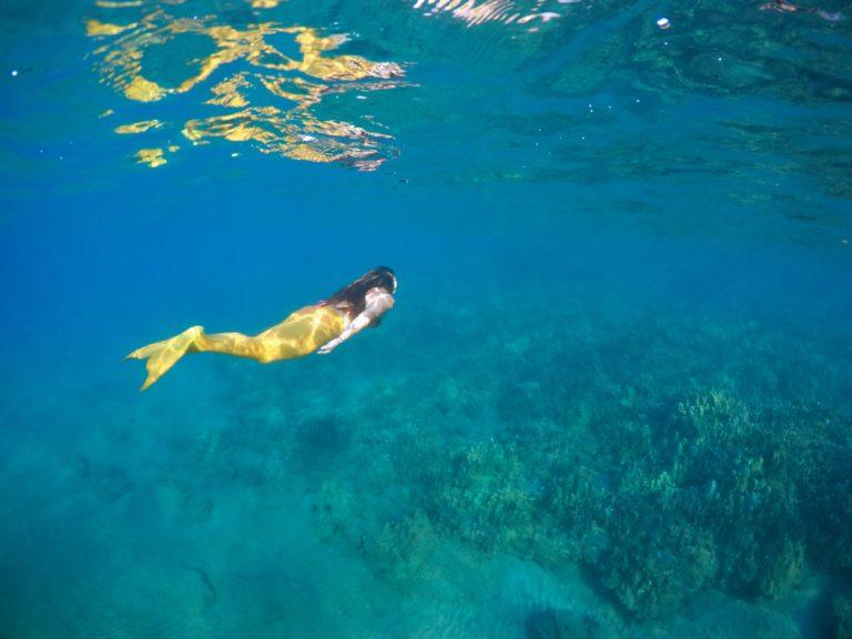 5 Easy Ways to be an Ocean Steward - Hawaii Mermaid Adventures