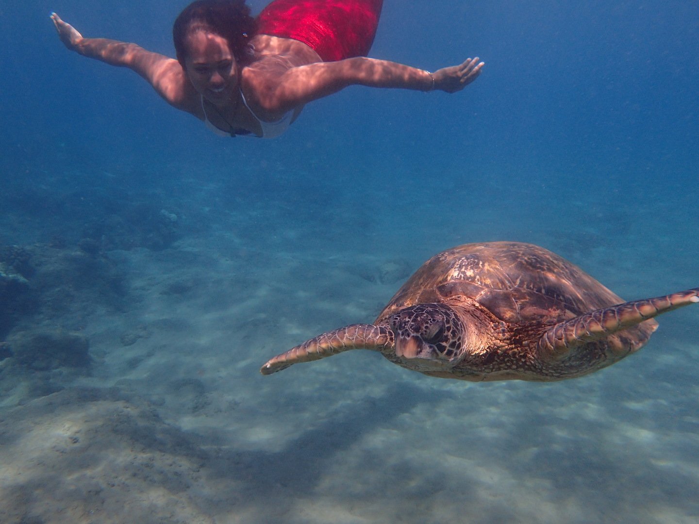 Book a Maui Mermaid Swimming Lesson | Hawaii Mermaid Advenures