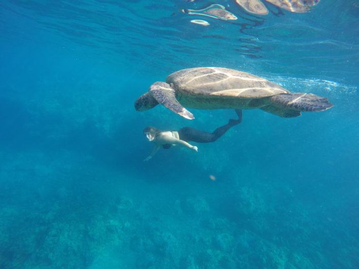 5 Easy Ways to be an Ocean Steward - Hawaii Mermaid Adventures